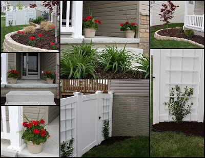 yard + cats - Life On Virginia Street