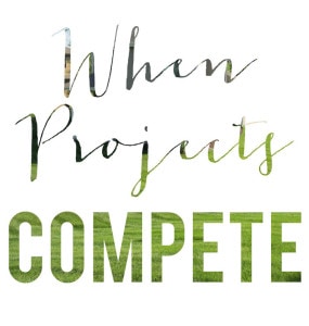 When Home Renovation Projects Compete | Life on Virginia Street