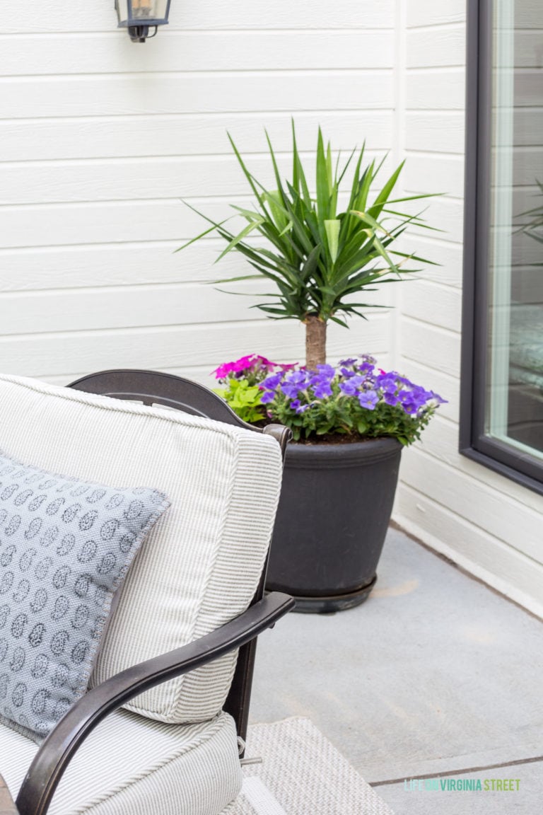 Summer Courtyard Refresh - Life On Virginia Street