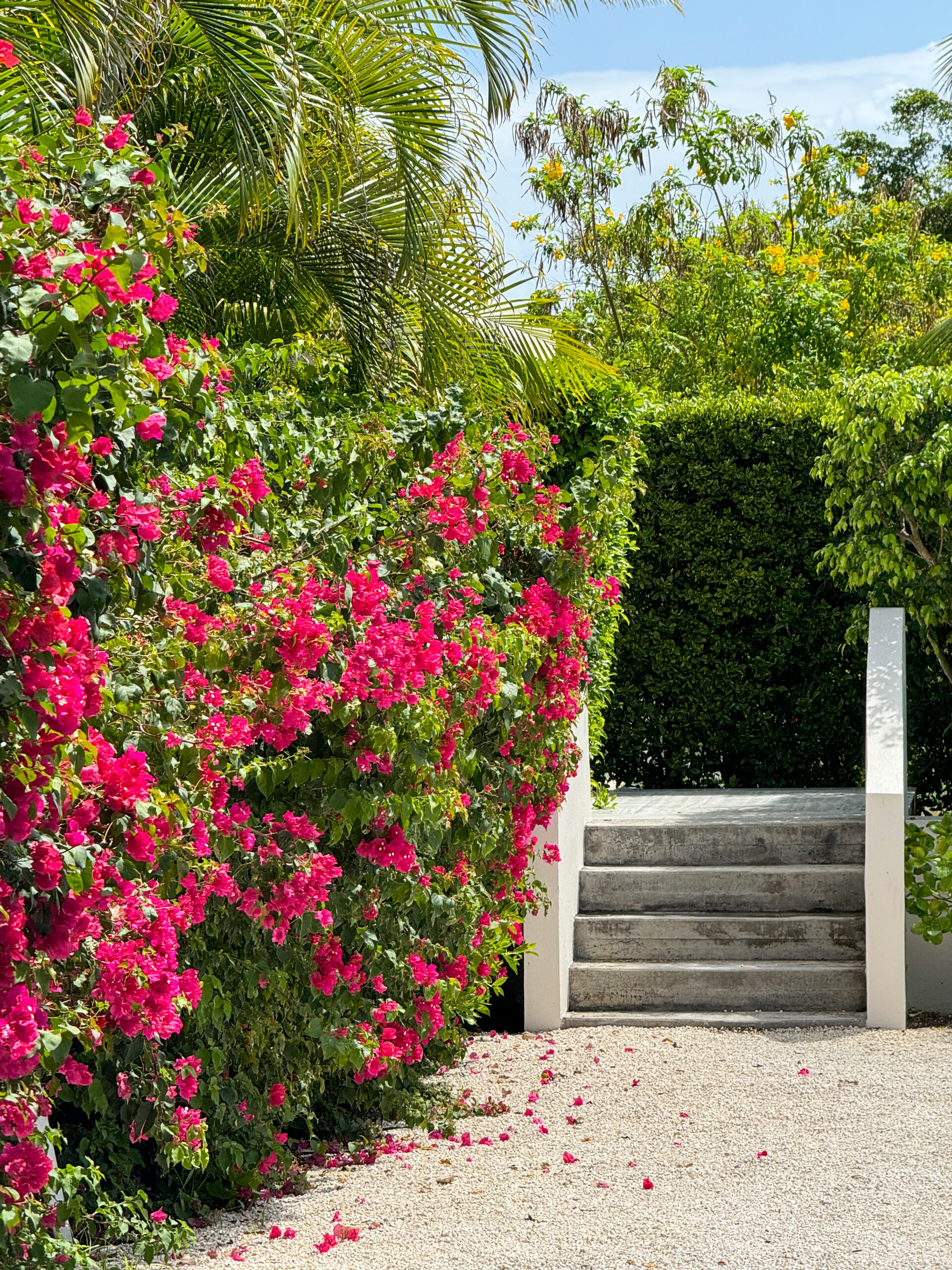 Travel Files: Anguilla - Life On Virginia Street