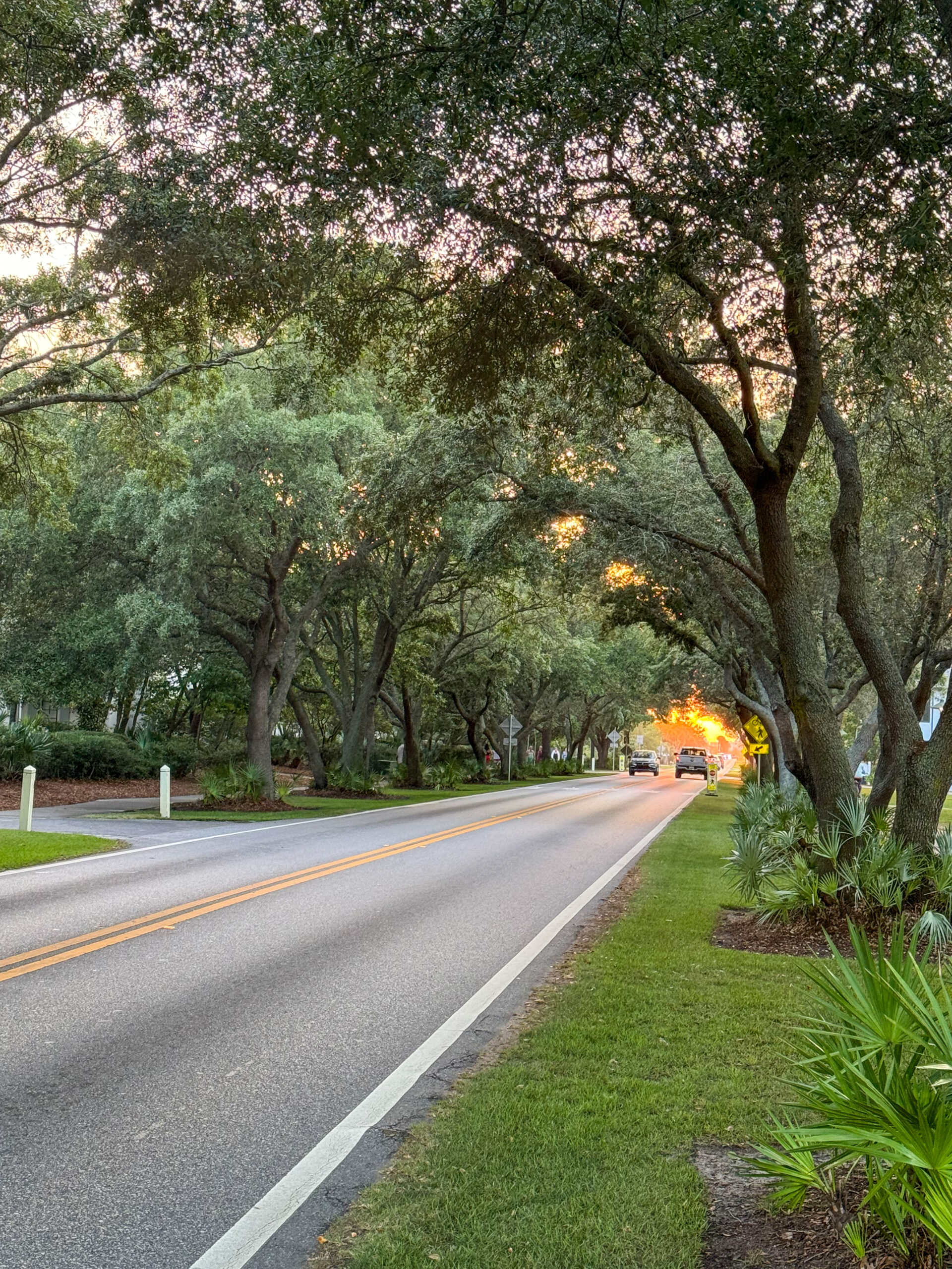 Weekend Recap - Life On Virginia Street