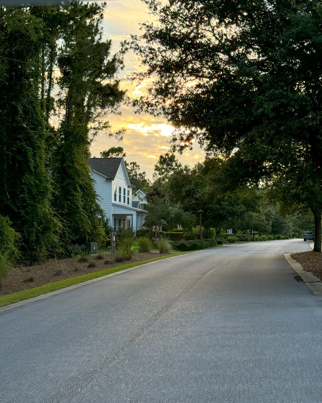 Weekend Recap - Life On Virginia Street