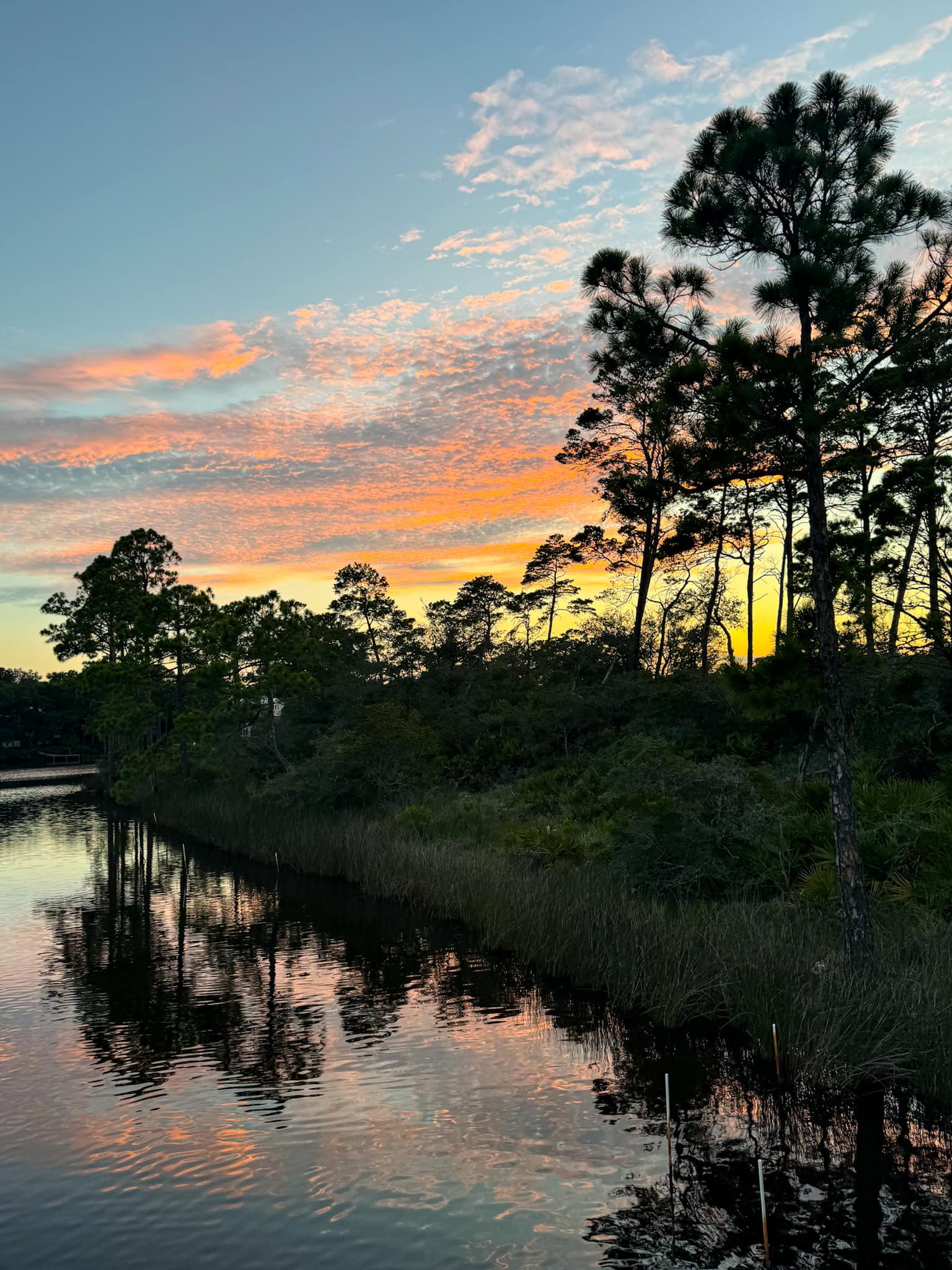 Weekend Recap - Life On Virginia Street