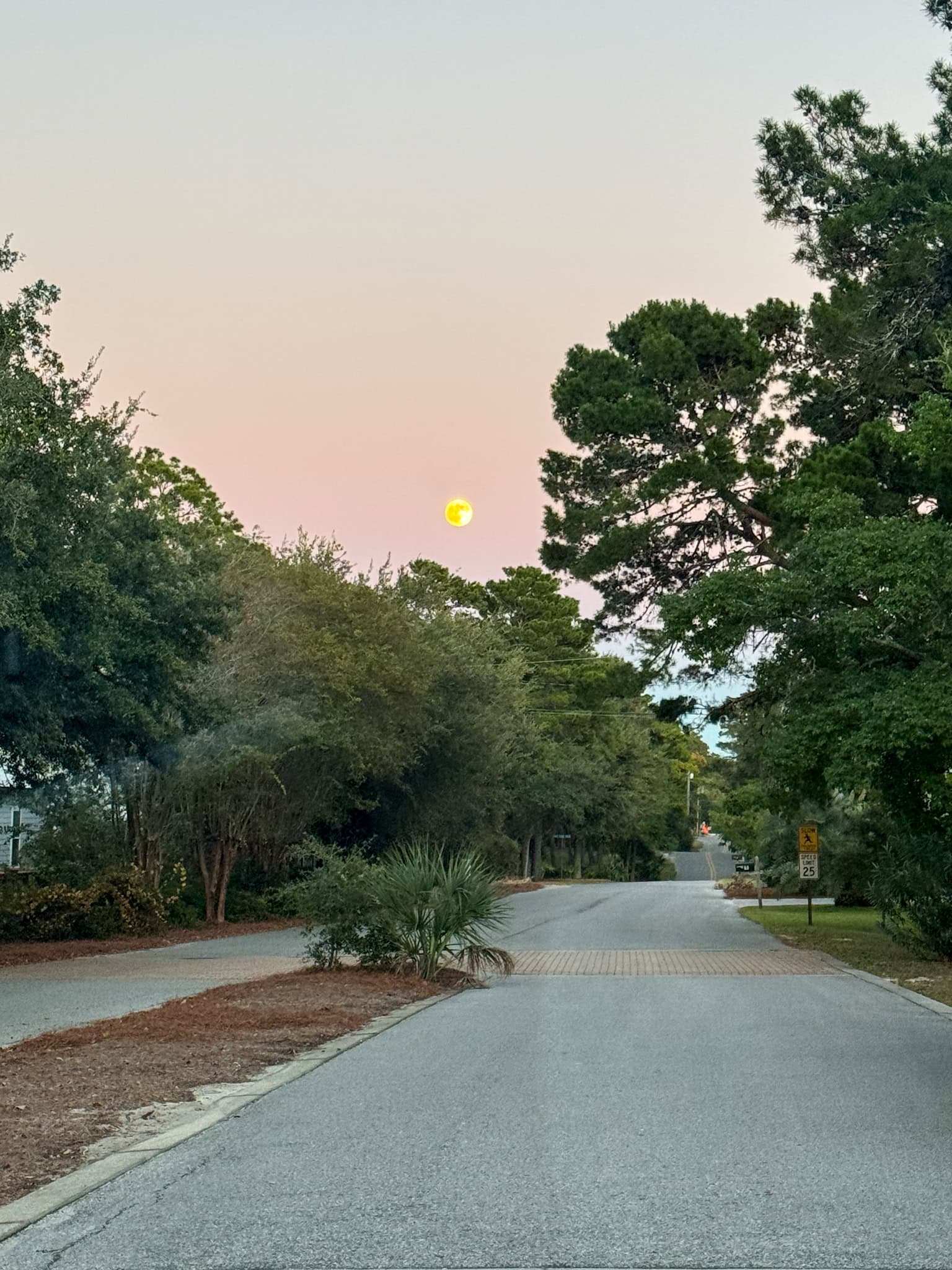 Weekend Recap - Life On Virginia Street